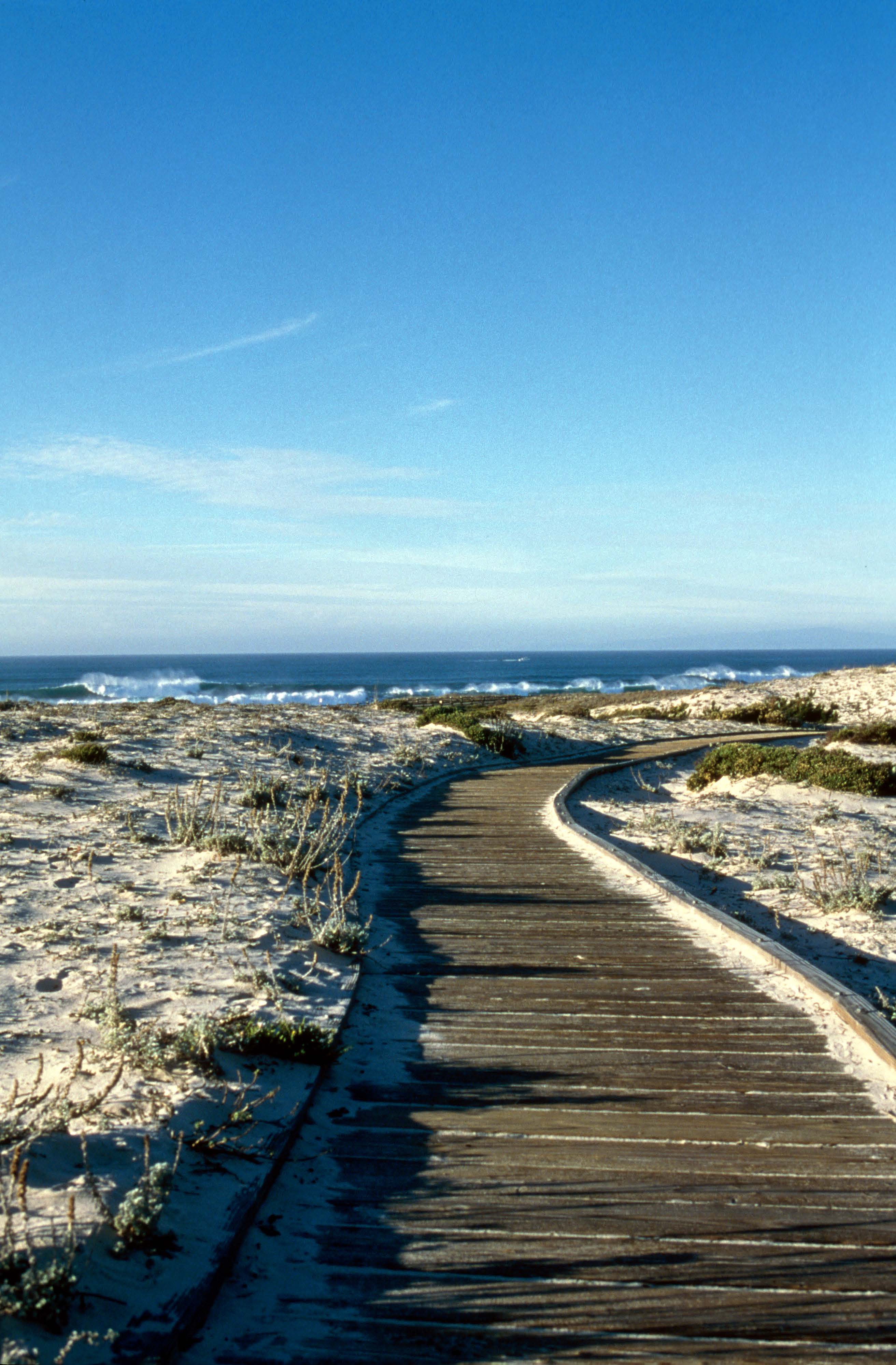 ASMS Asilomar Conference